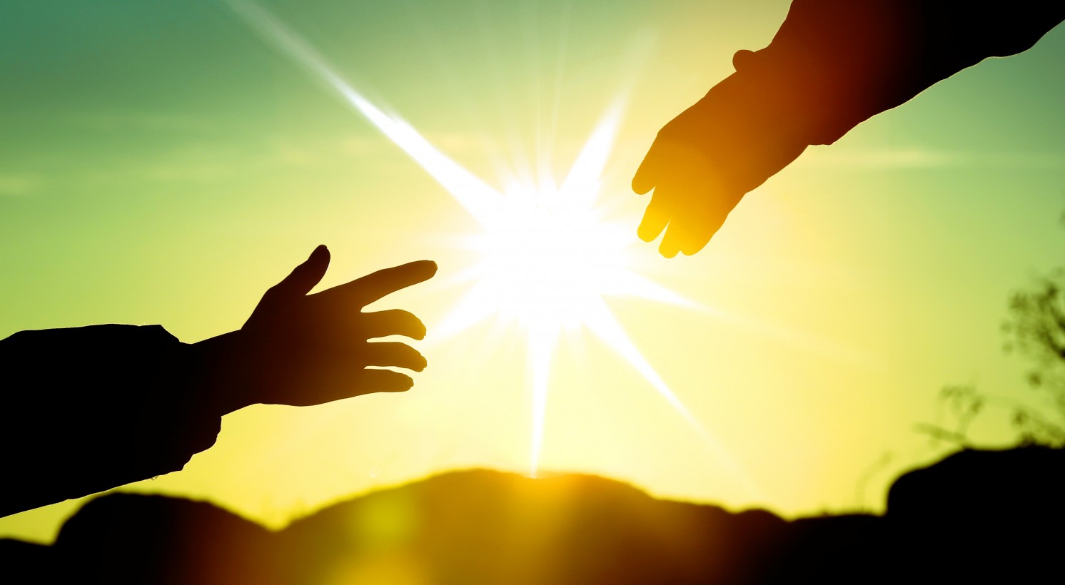 Giving Back | Community Involvement in Houston and Dallas | Kane ...